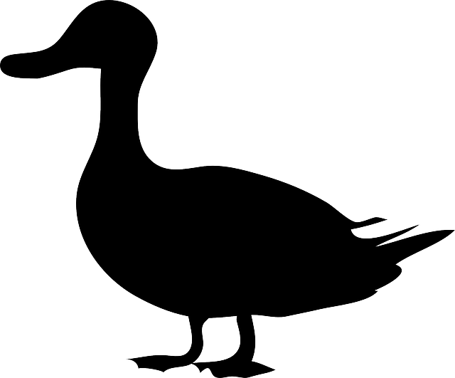 Eend POS – Happy-Tails