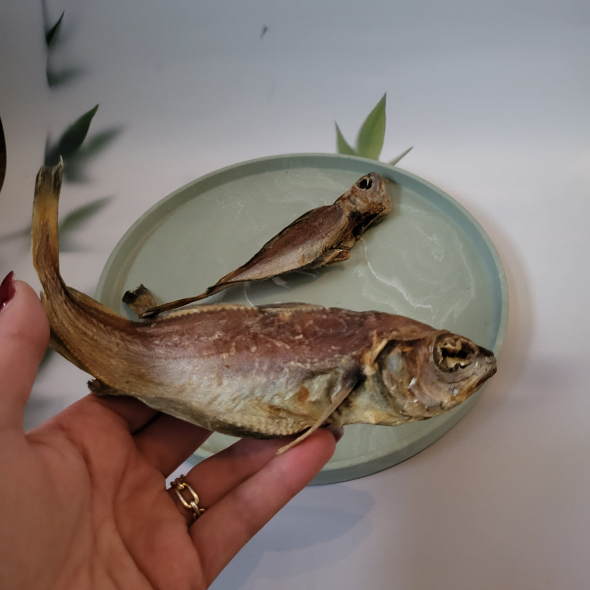 Heek – Happy-Tails