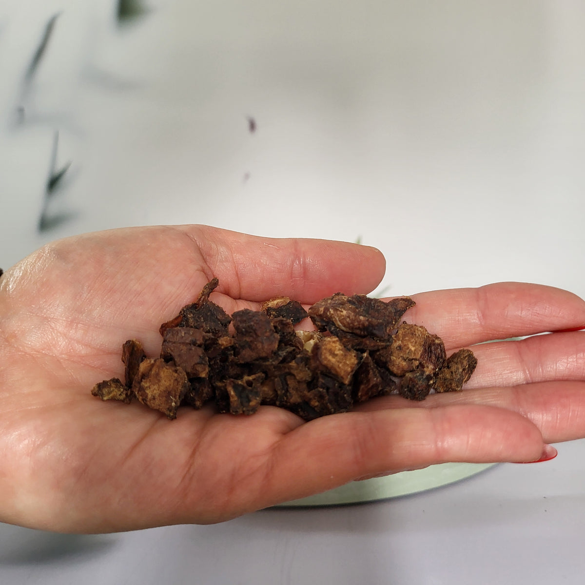 Paardenlong trainers – Happy-Tails