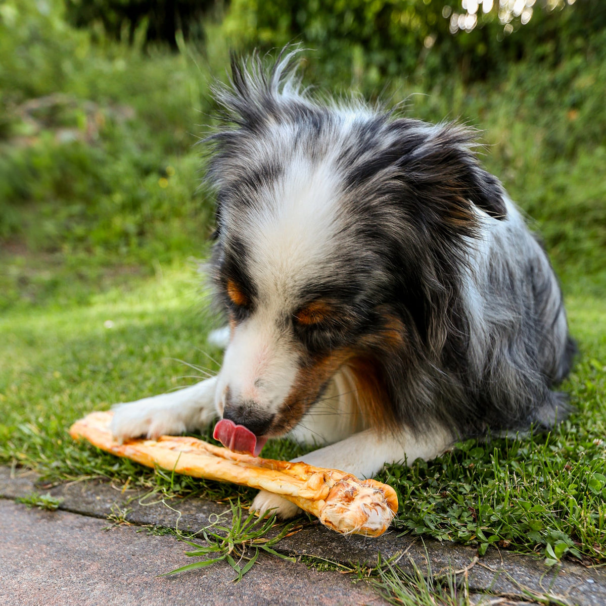 Konijnenhuid gerold – Happy-Tails